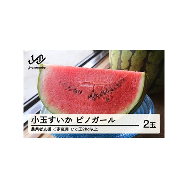 ■ 容量　ピノガール 2玉(1玉2kg以上)■ 配送について　2026年7月上旬頃-8月下旬頃に順次発送　※発送時期は、例年の発送時期を記載しております。天候や収穫状況により変更になる場合があります。　タイプ：【冷蔵】
