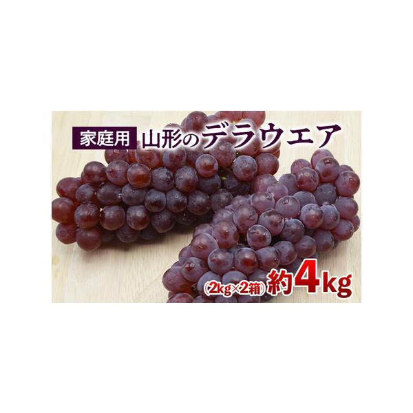 ■ 容量　【令和8年産】　山形産デラウエア M〜3L 優品 約4kg  (2kg×2箱) 18〜44房  (粒サイズおまかせ)■ 配送について　【申込期日】2026年08月05日まで　【発送期間】2026年07月20日頃〜2026年08月2...