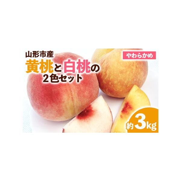 ■ 容量　【令和8年産】　黄桃と白桃（柔らかめ）のセット 秀 3kg (6〜13玉) [柔らかめ]　黄桃：黄金桃　白桃：川中島白桃・ゆうぞら　などより旬なもの　※ 品種、玉数は選べません。　※発送時期の品種から2色の組み合わせになります。　...