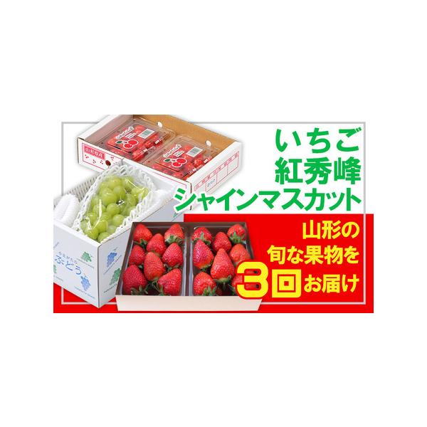 ■ 容量　【令和8年産】　【1回目】いちご (おとめごころ)秀500g (250g×2)L〜3L (4月15日〜5月15日頃) 冷蔵　　【2回目】さくらんぼ 紅秀峰 Lサイズ 約360g (180g×2P)  (6月15日〜7月15日頃) ...