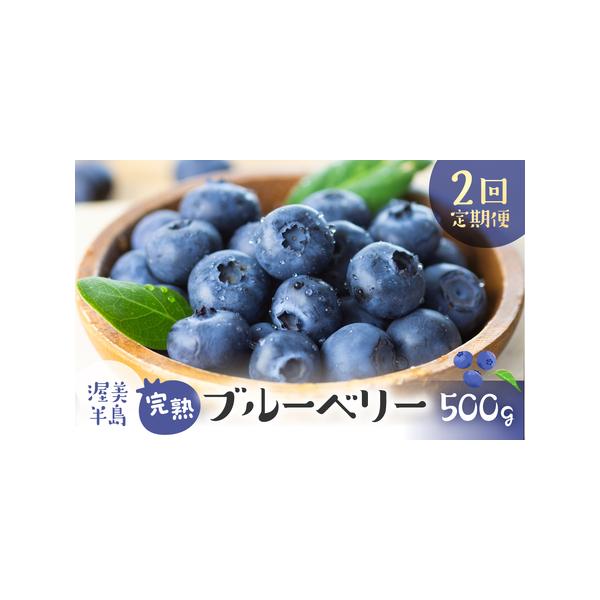 ■ 容量　500g×2回■ 配送について　4月から6月にかけてお届け ※期間外のお申込みは先行予約となります。　タイプ：【冷蔵】【定期】