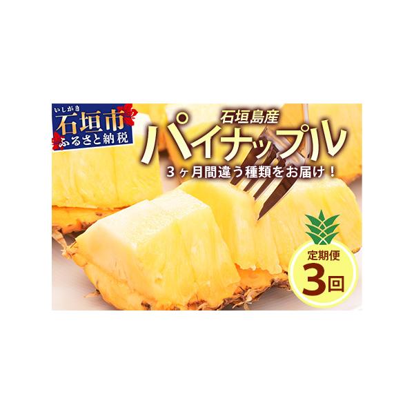 ■ 容量　ピーチパイン（中玉/2玉・石垣島産）　スナックパイン（中玉/2玉・石垣島産）　ゴールデンパイン（中玉/2玉・石垣島産）■ 配送について　2026年5月・6月・7月頃(収穫の状況により、配送時期が多少前後する場合がございます。予めご...