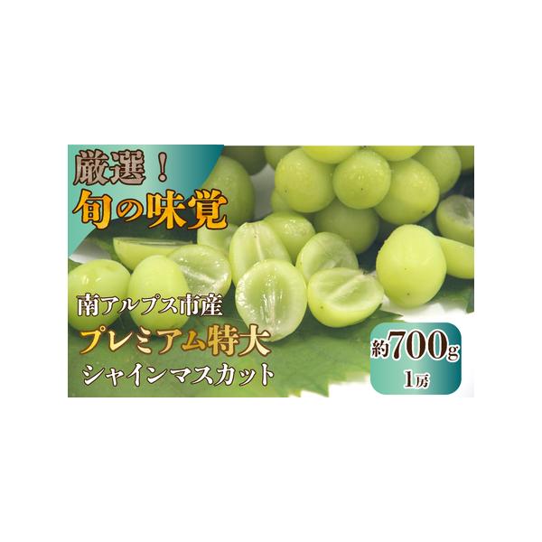 ■ 容量　シャインマスカット700g以上■ 配送について　2026年8月下旬〜2026年10月下旬　※沖縄・離島への配達不可　※常温便／翌々日到着地域はクール便　タイプ：【常温】【冷蔵】