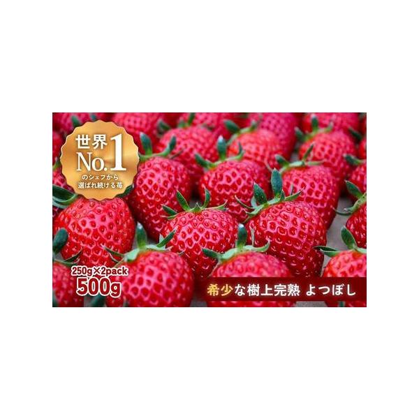 ■ 容量　よつぼし 化粧箱入り 500g前後　※1パック6〜15玉入りです。1箱に2パック入っております。　※2025年12月〜2026年5月末までの限定発送。　※消費期限：冷蔵5日　※画像はイメージです。　※輸送時のダメージを軽減するため...