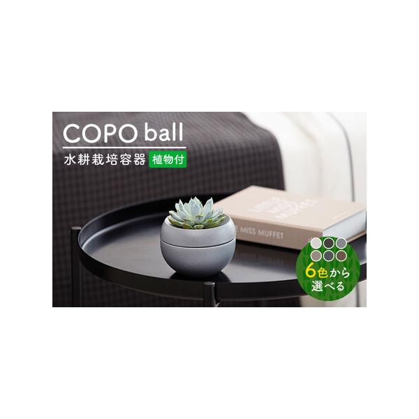 ■ 容量　※こちらはご希望を備考欄に記載いただくお品です※　　※お好きな色を1色お選びください。　【カラー】　A：マットホワイト　B：チャコールブラック　C：グレイ　D：グレージュ　E：銀鱗　F：金鱗　　【発送について】　10月?3月お申込...