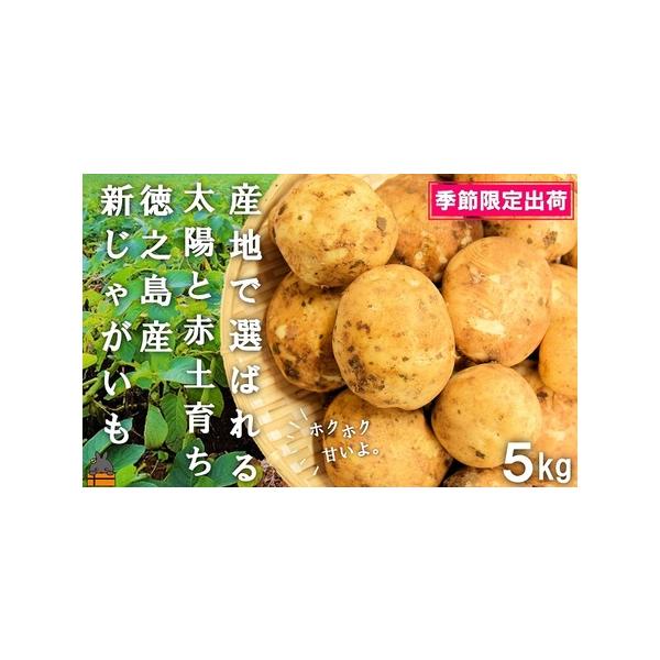■ 容量　【内容】　徳之島産じゃがいも（バレイショ）（5kg）　※画像はイメージです。■ 配送について　2026年2月〜4月の期間で配送致します。　※常温配送　タイプ：【常温】