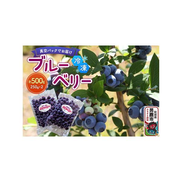 ■ 容量　■名称：冷凍ブルーベリー　■内容量：250g×2パック（合計500g）　■原材料：ブルーベリー　■賞味期限：150日・要冷蔵　■提供元：有限会社シートピア　■注意事項：　※ふるさと納税（寄附申込み）のキャンセル、返礼品の変更・返品...