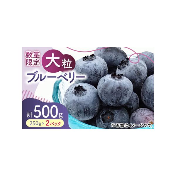 ■ 容量　ブルーベリー 約500g（約250g×2pc）　　※大粒のものを丁寧に選定しておりますが、中には小粒も混ざる可能性がございますのでご了承くださいませ。　（特に7月〜配送のブルーベリーに関しては、混ざる可能性が高くなります。）■ 配...