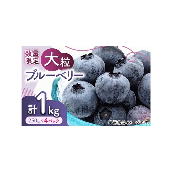 ■ 容量　ブルーベリー 約1000g（約250g×4pc）　　※大粒のものを丁寧に選定しておりますが、中には小粒も混ざる可能性がございますのでご了承くださいませ。　（特に7月〜配送のブルーベリーに関しては、混ざる可能性が高くなります。）■ ...