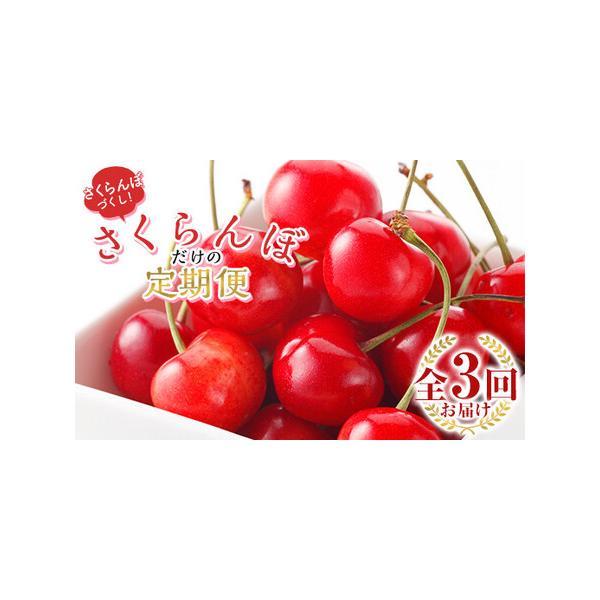 ■ 容量　1回目：温室佐藤錦　秀／Lサイズ／約500g　2回目：温室紅秀峰　秀／Lサイズ／約500g　3回目：佐藤錦　　　秀／Lサイズ／約180g×4パック■ 配送について　2026年5月中旬〜7月上旬に順次発送　1回目：温室佐藤錦　5月中...