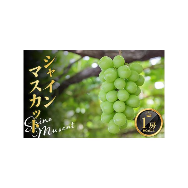■ 容量　シャインマスカット 1房 800g■ 配送について　2026年9月上旬頃〜10月下旬頃まで　タイプ：【冷蔵】