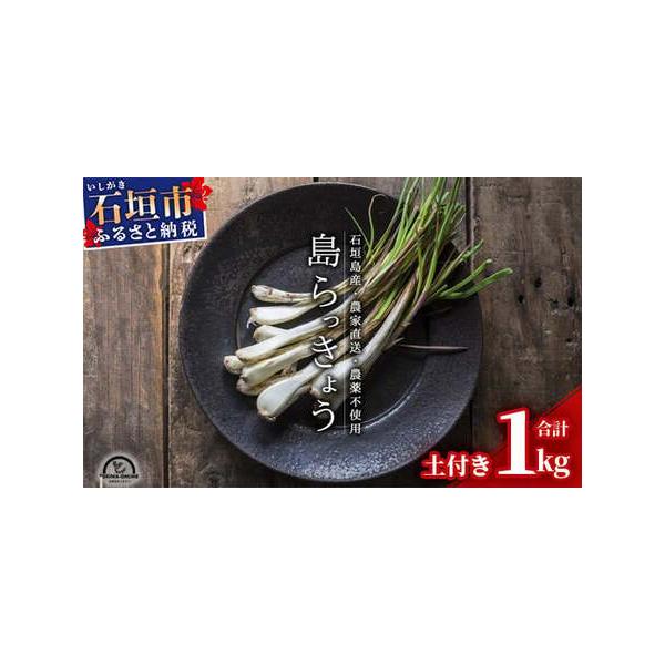 ■ 容量　島らっきょう 生 土付き 1kg　サイズ：おまかせ不選別（M〜２L　指定はできません）　　生産地：石垣市■ 配送について　2026年2月上旬〜3月下旬に発送いたします。　タイプ：【常温】