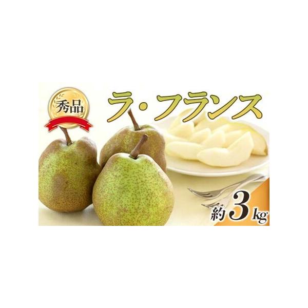 ■ 容量　ラ・フランス　等級：秀以上　容量：約3kg（6玉〜14玉）　※大きさや個数は指定いただけません。　■ 配送について　令和8年10月下旬〜11月下旬にかけて順次発送予定　※生育状況によって発送時期が変更になる場合がございます。　※常...