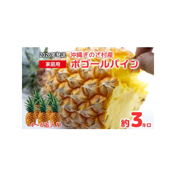 ■ 容量　ボゴールパイン約3kg（小玉4〜6個）■ 配送について　2026年6月上旬から7月上旬にかけて順次発送　タイプ：【冷蔵】