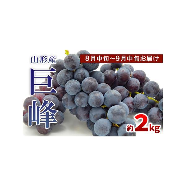 ■ 容量　【令和8年産】　山形産 巨峰 秀品 約2kg (3〜6房)　※巨峰には種がありますので、お召し上がりの際はご注意ください。■ 配送について　【申込期日】2026年08月31日まで　【発送期間】2026年08月15日頃〜2026年0...
