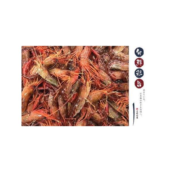 ■ 容量　・しまえび：500g×2pc（１パック40尾前後）　　　　　　　　　　　　　　　　■ 配送について　入金確認後、1週間〜1ヶ月以内　　タイプ：【冷凍】