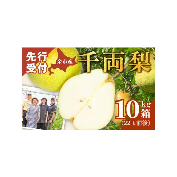 ■ 容量　10kg箱(バラ詰22玉前後)M・Lサイズ（370ｇ〜580ｇ）　タイプ：【冷蔵】