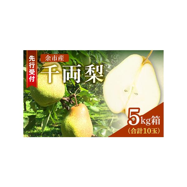 ■ 容量　5kg箱(モールドトレイ10玉)Lサイズ（450ｇ〜580ｇ）　タイプ：【冷蔵】