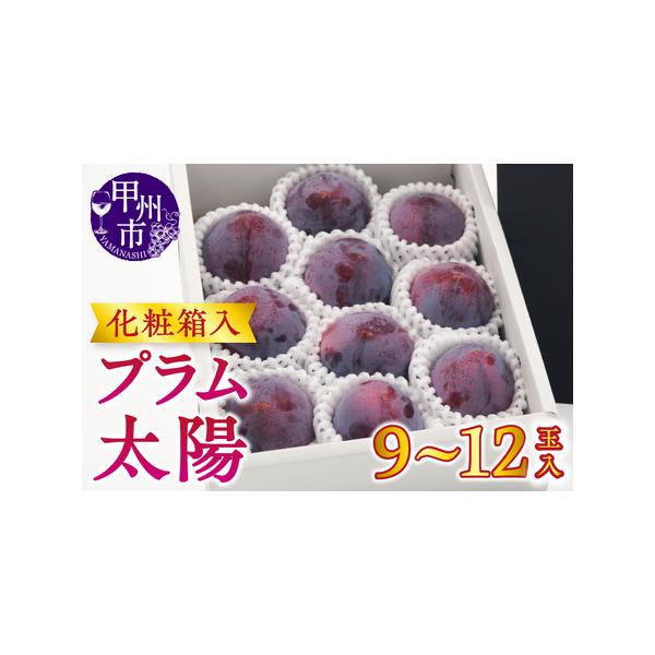 ■ 容量　プラム『太陽』 (9〜12玉)　　【申込期日】　2026年8月下旬頃まで　【消費期限】　到着次第、お早めにお召し上がりください。　【アレルギー品目】　もも　　【注意事項】　※上記注意事項を必ずご確認ください。　※画像はイメージです...