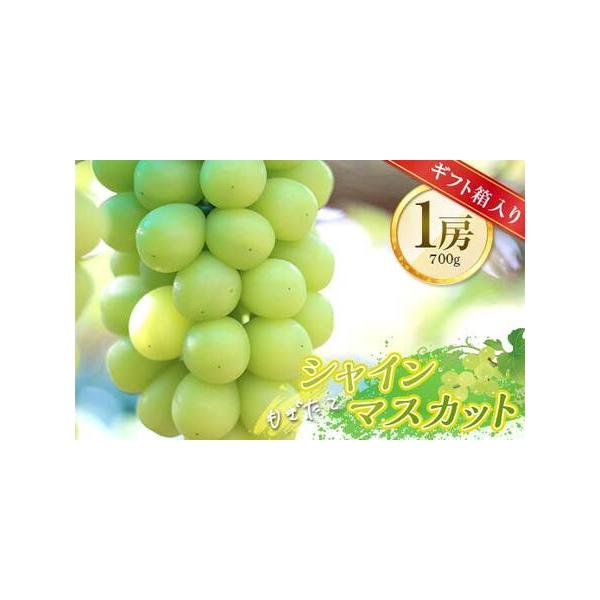 ■ 容量　大房もぎたてシャインマスカット1房　700g　ギフト箱入り■ 配送について　2026年9月中旬〜10月下旬まで　タイプ：【冷蔵】