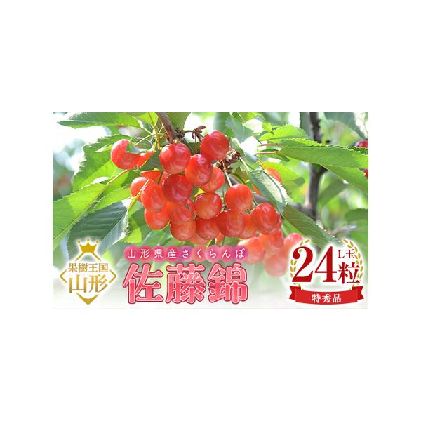 ■ 容量　特秀品 L玉サイズ 24粒 ギフト箱入り　（収穫状況によって紅秀峰でのお届けとなる場合があります）■ 配送について　2026年6月上旬〜6月中旬頃　タイプ：【冷蔵】
