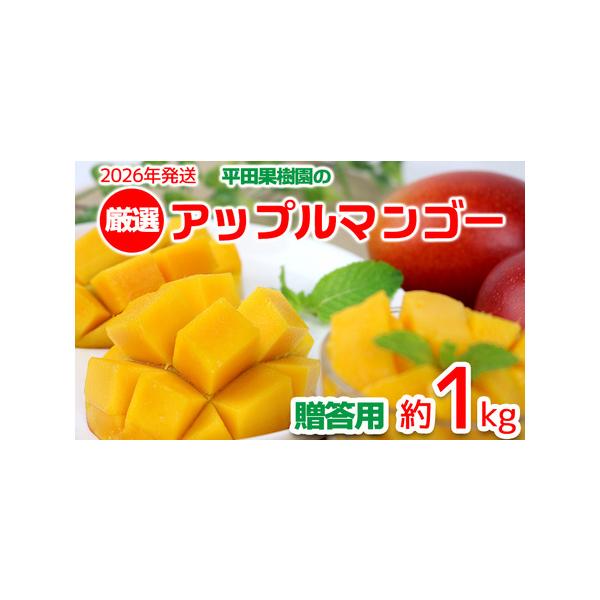 ■ 容量　アップルマンゴー約1kg（2〜3玉）　※玉数の指定はできません。大きさによって数量は変わりますのでご了承ください。■ 配送について　2026年7月中旬から8月初旬にかけて順次発送　タイプ：【冷蔵】