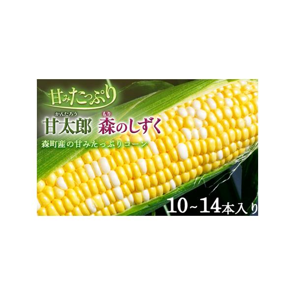 ■ 容量　とうもろこし　森町産　10本〜14本入り　（森のしずく、ロイシーコーン、甘太郎から1品種、出荷時期により品種は異なります）　■ 配送について　2026年6月初旬〜7月中旬　　タイプ：【冷蔵】