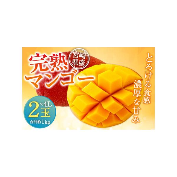 ■ 容量　完熟マンゴー：4L(520g〜649g)×2玉■ 配送について　寄附確認後、2026年5月上旬〜7月中旬までに順次出荷します。　タイプ：【冷蔵】