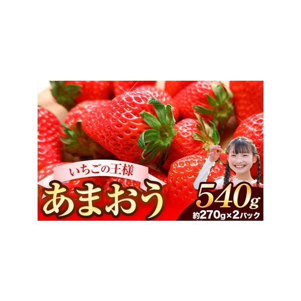 ■ 容量　540g（270g×2パック）　※1パックあたり3粒~20粒前後入り■ 配送について　【着日指定不可】2月中旬-4月末頃出荷　タイプ：【冷蔵】