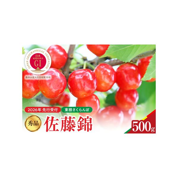 ■ 容量　秀品  佐藤錦 500g　　■賞味期限　商品到着から１日　　■保存方法　冷蔵で保存してください　※ご到着後は、期限に関わらずお早めにお召し上がりください。　　■アレルギー　28品目中：該当なし■ 配送について　■申込期日　2026...