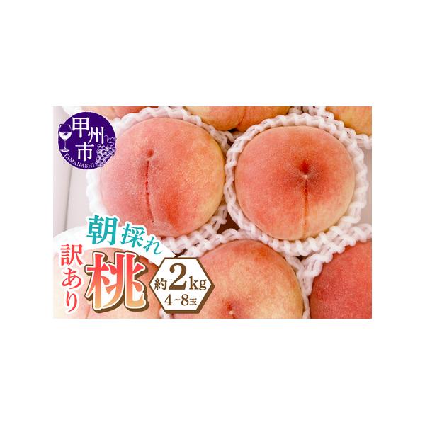 ■ 容量　訳あり桃 約2kg（4〜8玉）　　【申込期日】　2026年8月中旬頃まで　【消費期限】　到着次第、お早めにお召し上がりください。　【アレルギー品目】　もも　　【注意事項】　※上記注意事項を必ずご確認ください。　※画像はイメージです...