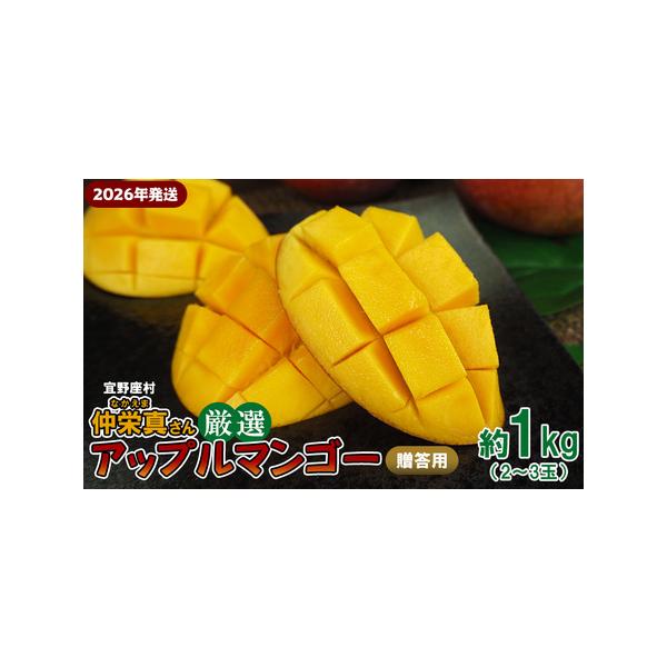 ■ 容量　アップルマンゴー約1kg（2〜3玉）　※玉数の指定はできません。大きさによって数量は変わりますのでご了承ください。■ 配送について　2026年7月中旬から8月初旬にかけて順次発送　タイプ：【冷蔵】