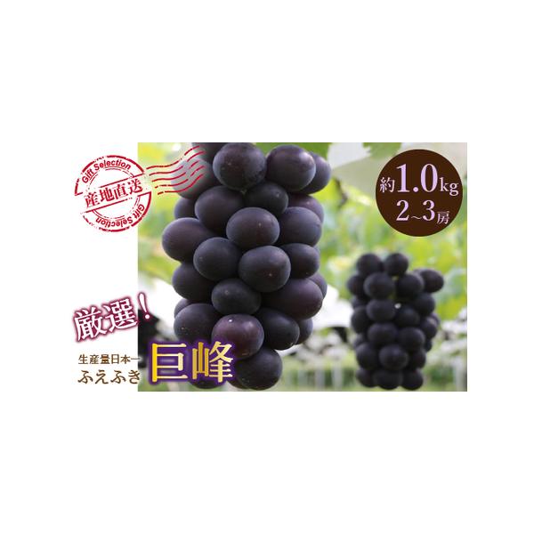 ■ 容量　●商品番号156-011【申込期日:2026年9月30日】　●厳選！山梨県笛吹市産 巨峰 約1.0kg(2〜3房)　　■ 配送について　◆発送方法：常温　●沖縄・離島は配送不可　タイプ：【常温】