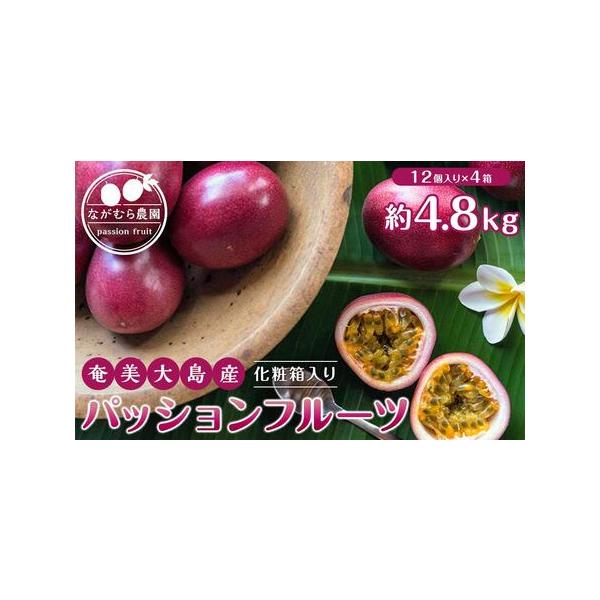 ■ 容量　化粧箱12個入り×4箱（約4.8kg）■ 配送について　2026年6月上旬より順次発送（青果物のため、その年の気候により収穫時期が多少ずれることがあります。）　【受付期間】　〜2026年6月30日　タイプ：【常温】