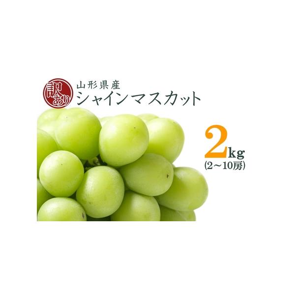 ■ 容量　約2kg（2〜10房）■ 配送について　2026年9月上旬頃〜10月下旬頃にかけて寄付受付順に発送　タイプ：【冷蔵】