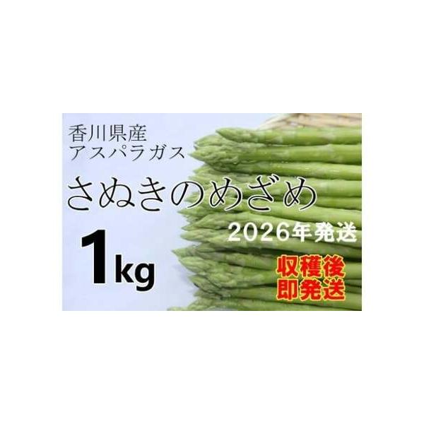 ■ 容量　約１kg　Lから２Lサイズの混載　■ 配送について　【2026年3月頃から順次発送予定】　お申込みいただいた方から順番にお届けさせていただきます。　農産品のため、天候や生育状況によって、発送までお待ちいただく場合があります。　※お...