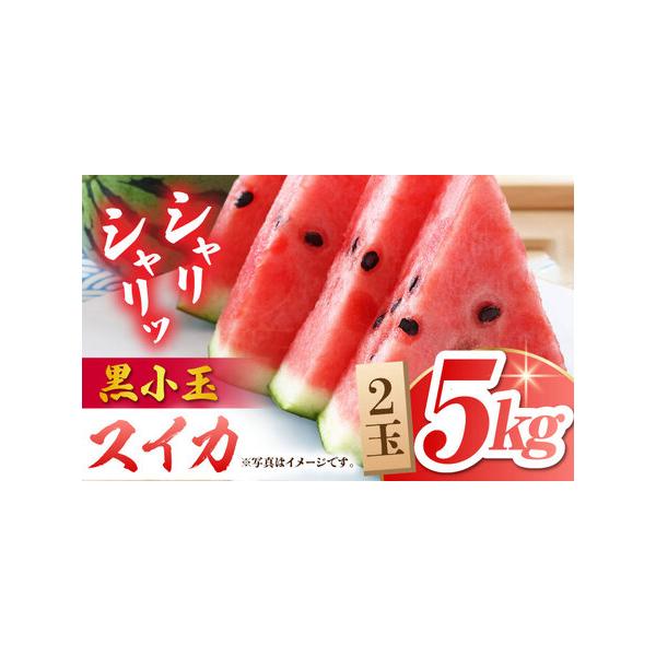 ■ 容量　約2.5kg×2玉■ 配送について　【2026年】6月上旬〜6月下旬　・返礼品の状況により、お届けまでに発送期間等の内容が変更となる場合がございます。　　のしご希望の際は備考欄にご記入ください。　タイプ：【常温】【のし】