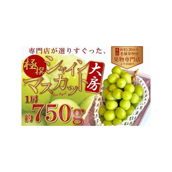 ■ 容量　内容量：1房（約750g）　原産地：観音寺市　■ 配送について　2026年8月中旬〜10月中旬　　タイプ：【冷蔵】