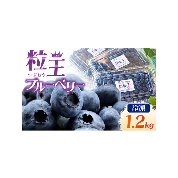 ■ 容量　冷凍ブルーベリー 1.2kg（400g×3P）　---------------------------------------------------　【賞味・消費期限】　＜賞味期限＞製造から1年（冷凍）　　【保存方法】　冷凍　　...
