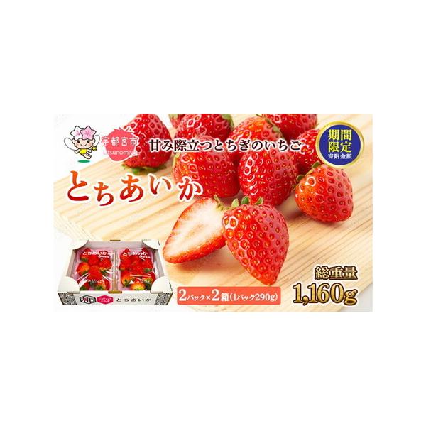 ■ 容量　2箱　・1パック(フィルム・パック含め)290g　・1箱に2パック入り、合計4パック■ 配送について　2026年1月上旬〜3月上旬頃　タイプ：【冷蔵】