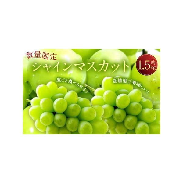 ■ 容量　約1.5kg■ 配送について　寄附確認後、2026年8月下旬〜9月下旬に順次発送予定　タイプ：【冷蔵】