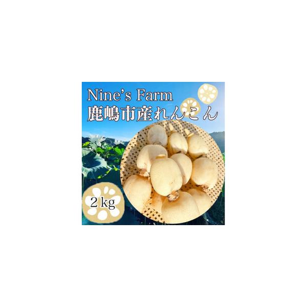 ■ 容量　1箱　約2kg　■ 配送について　ご入金確認後、2025年8月上旬より順次発送いたします。　※生産の都合により遅れる場合がございますのでご了承下さい。  　　タイプ：【常温】