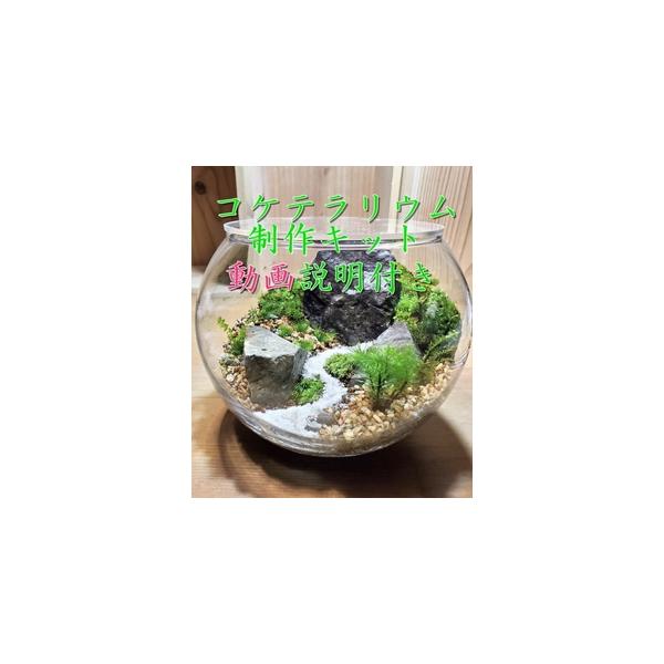 ■ 容量　【セット内容】　・専用ピンセット　・ガラス容器（ 横15cmｘ縦11cm）　・フタ　・スプーン（スパーテル付き）　・竹串　・専用土　・石　・砂利　・飾り砂（白）　・コケ：ホソバオキナゴケ、ヒノキゴケ、カモジゴケ、コツボゴケ　・フィ...