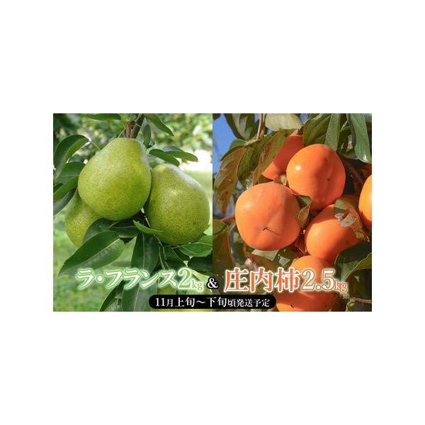 ■ 容量　・ラ・フランス 約2kg(8〜12個)　・庄内柿 約2.5kg(18〜20個)　　【提供事業者】 株式会社 産直あぐり　【産地名】 山形県鶴岡産　　【賞味(消費)期限】生鮮食品です。到着後は状態を確認の上、お早めにお召し上がりくだ...