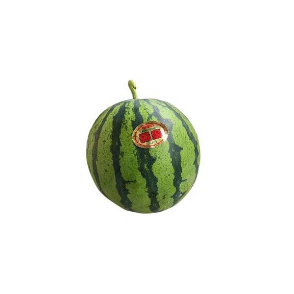 ■ 容量　1玉入り(5kg以上)■ 配送について　寄附確認後、2026年5月〜6月下旬迄順次発送予定　タイプ：【常温】