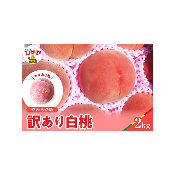 ■ 容量　■容量　訳あり 白桃 2kg（やわらかめ）　※玉の大きさが異なる、色薄、軽い当て傷などが含まれます。　お召し上がりいただく分に問題ございません。　　■お届けする品種　川中島白桃・美月・あかつき・西野白桃・あぶくまなど　※収獲された...
