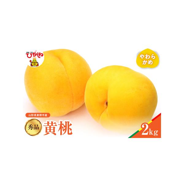 ■ 容量　■容量　秀品 黄桃 2kg（やわらかめ）　　■お届けする品種　黄金桃・あかつきひめ・滝の沢・夕月　など　※収獲された時期に合わせて、旬の桃を１品種おまかせでお送りします。　※品種の指定はできません。　　■賞味期限　発送日から3日程...