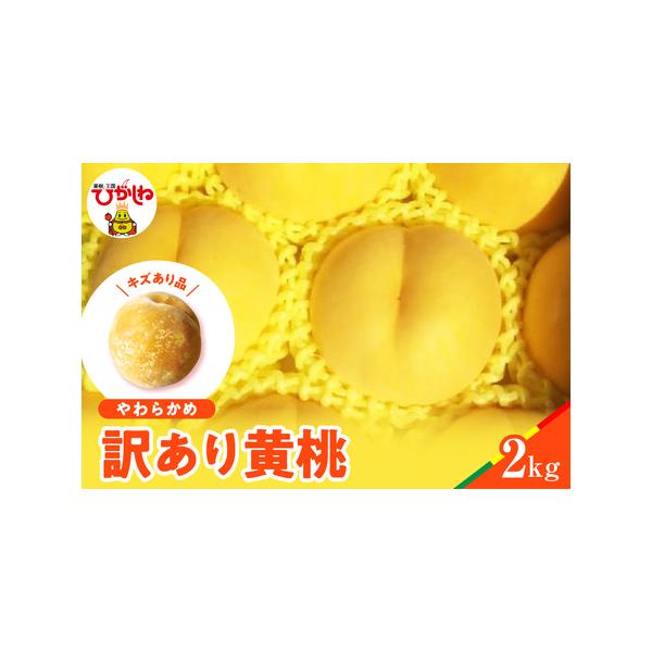 ■ 容量　■容量　訳あり 黄桃 2kg（やわらかめ）　※玉の大きさが異なる、色薄、軽い当て傷などが含まれます。　お召し上がりいただく分に問題ございません。　　■お届けする品種　黄金桃・あかつきひめ・滝の沢・夕月など　※収獲された時期に合わせ...