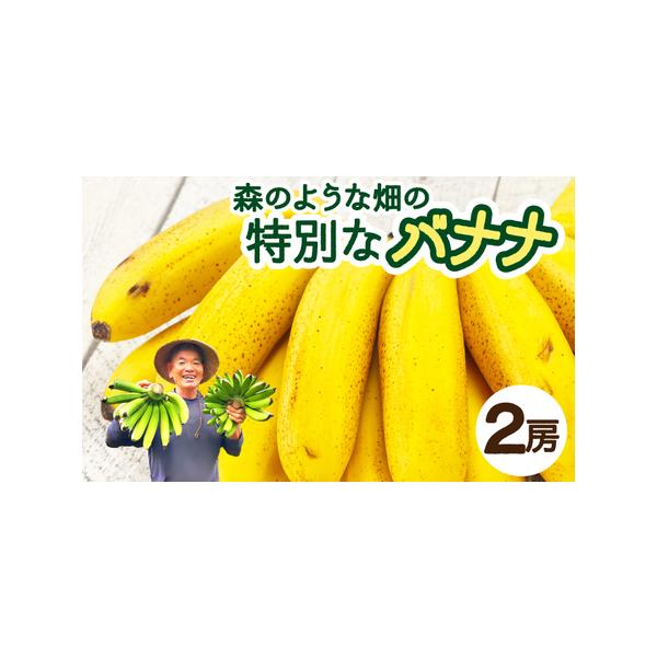 ■ 容量　仲原さんのバナナ ２房　　■消費期限　完熟後5日■ 配送について　ご入金確認後、1ヶ月以内を目安に順次発送いたします。　タイプ：【常温】