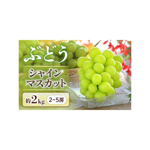 ■ 容量　内容量：約2kg(2〜5房)　※大きさで房数は異なります。■ 配送について　2026年9月中旬〜10月上旬　※その年の気候により配送時期に変動がある可能性がございます。　タイプ：【冷蔵】
